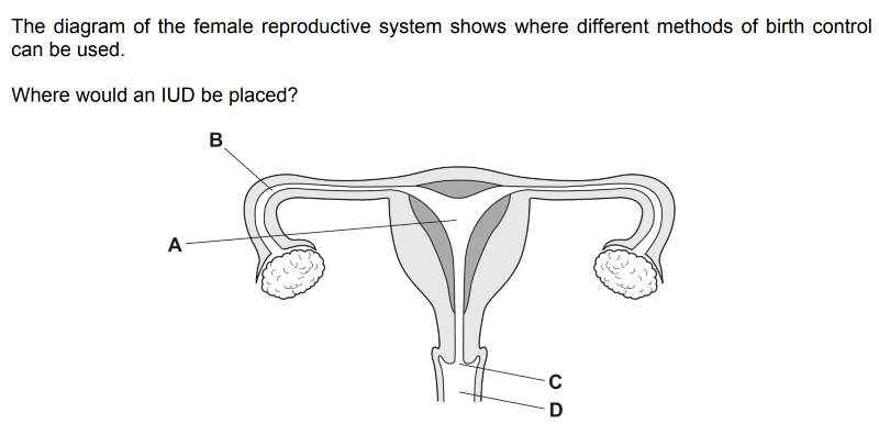 0610 IGCSE Biology | Smart Exam Resources