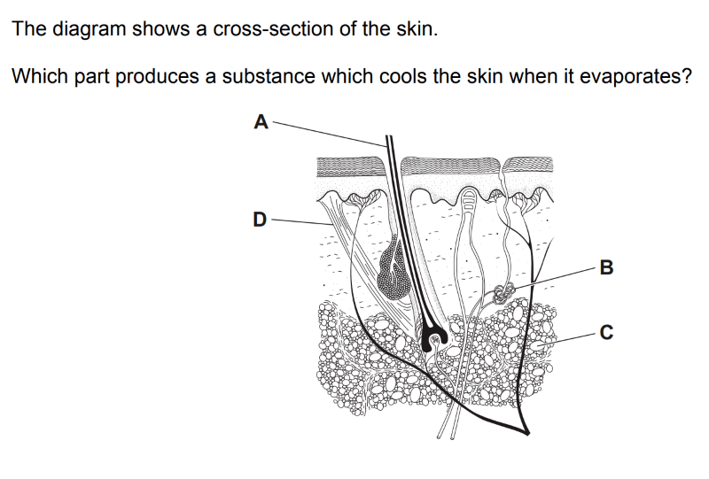 0610 IGCSE Biology | Smart Exam Resources